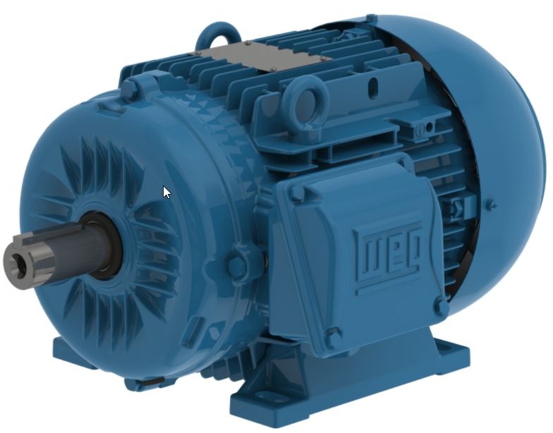 WEG Motors Three Phase General and Definite Purpose